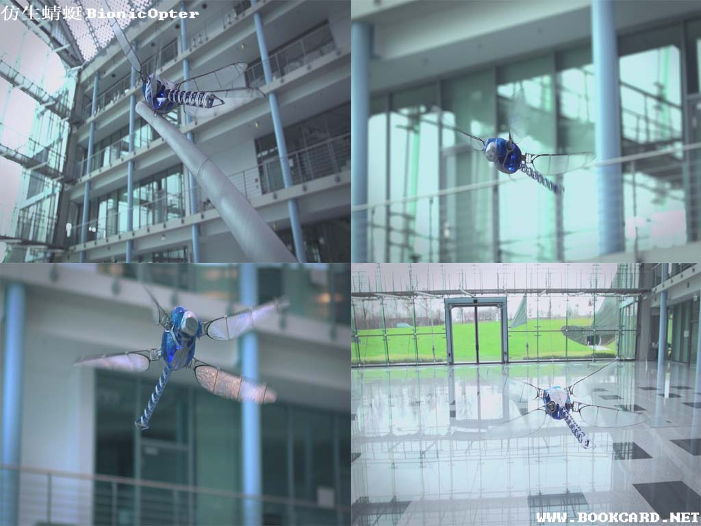 仿生蜻蜓BionicOpter – BOOKCARD.NET