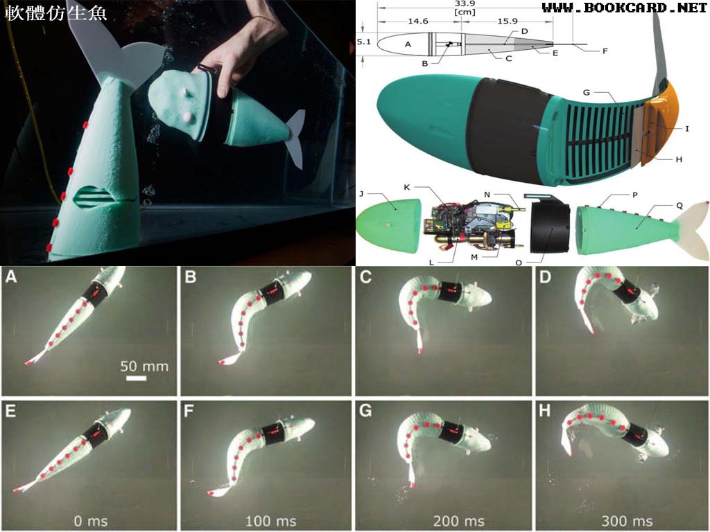 軟體仿生魚-麻省理工學院 (MIT) – BOOKCARD.NET