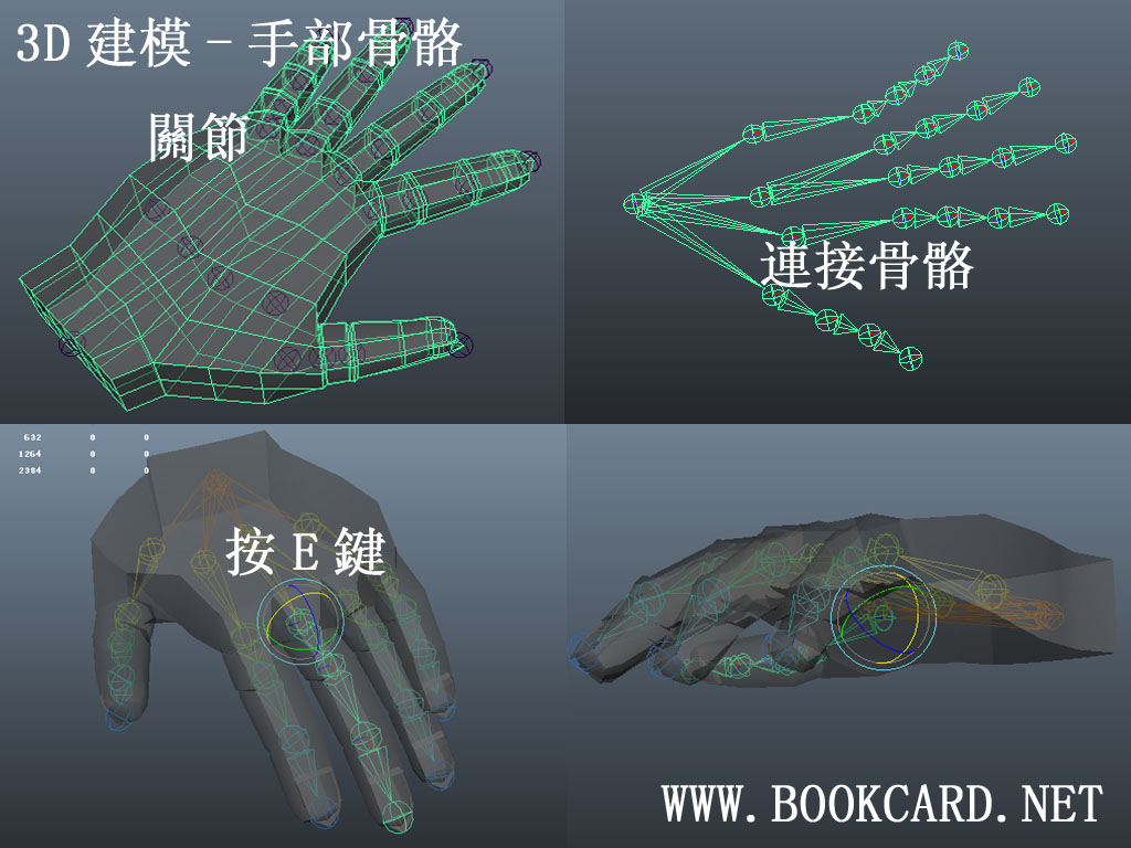 Maya之手部骨骼 – BOOKCARD.NET