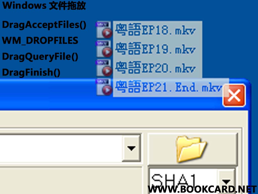 Windows文件拖放 – BOOKCARD.NET